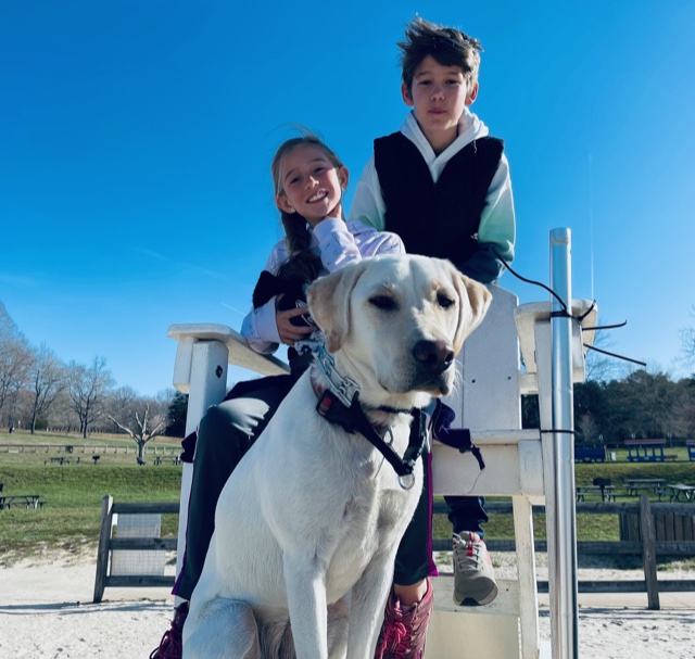 A home for the homeless? – Retired and Rambling